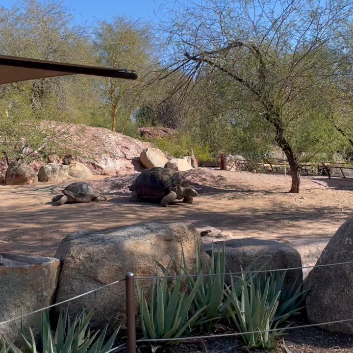 PHOENIX ZOO - Updated February 2025 - 2421 Photos & 1058 Reviews - 455 ...