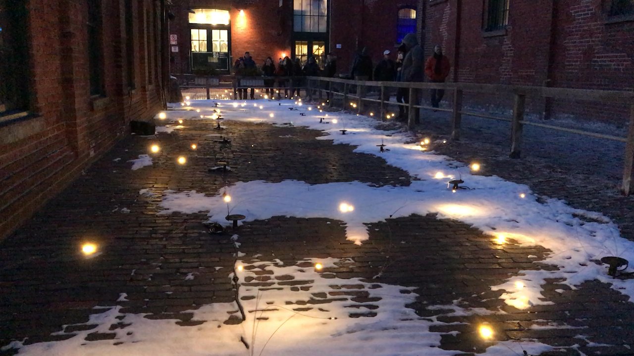 TORONTO LIGHT FESTIVAL - Updated May 2026 - 123 Photos & 15 Reviews ...