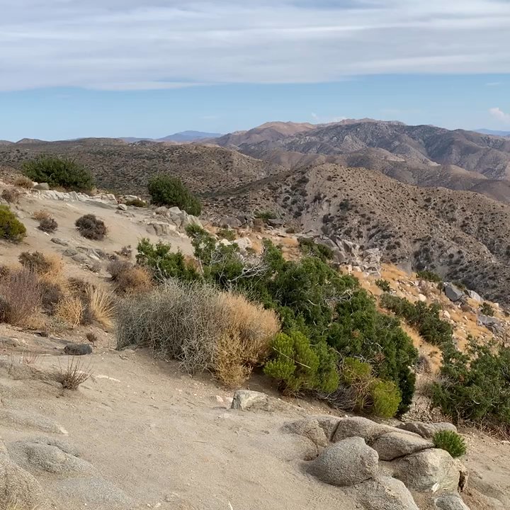 KEYS VIEW - Updated January 2025 - 340 Photos & 25 Reviews - Joshua ...