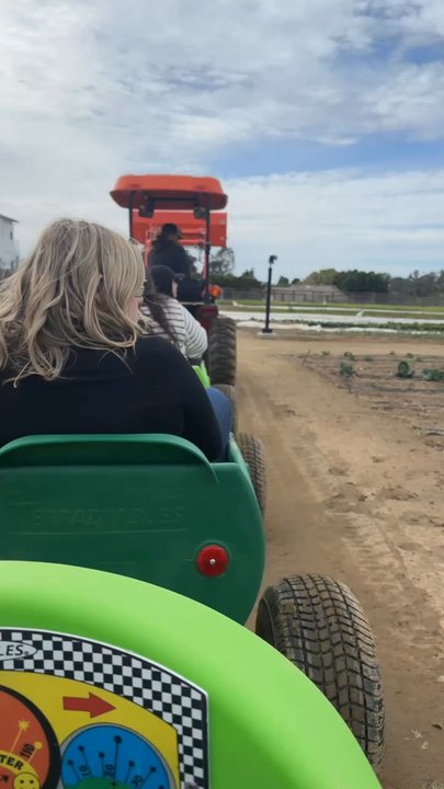 FOX POINT FARMS - Updated April 2025 - 310 Photos & 113 Reviews - 1150 ...