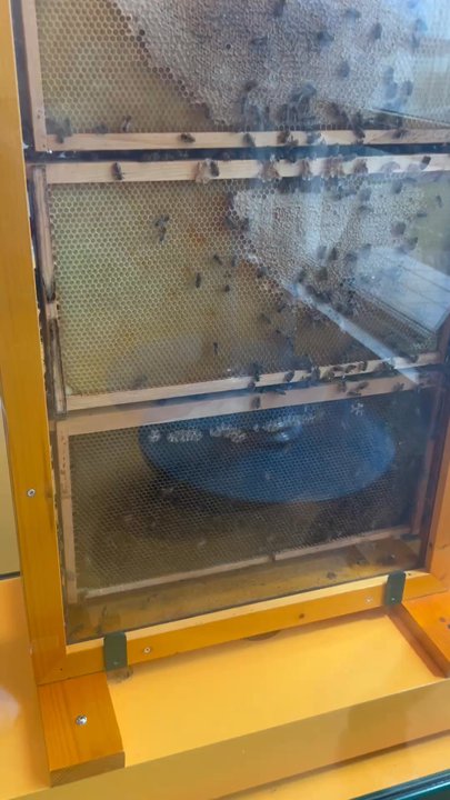 AUDUBON INSECTARIUM - Updated March 2026 - 1136 Photos & 260 Reviews ...