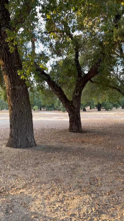 POTRERO COUNTY PARK CAMPGROUND - Updated December 2025 - 76 Photos & 30 ...