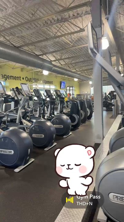 CLUB16 TREVOR LINDEN FITNESS - Updated June 2026 - 53 Photos & 10 ...