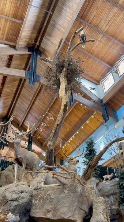 BASS PRO SHOPS - Updated May 2026 - 255 Photos & 160 Reviews - 17907 IH ...