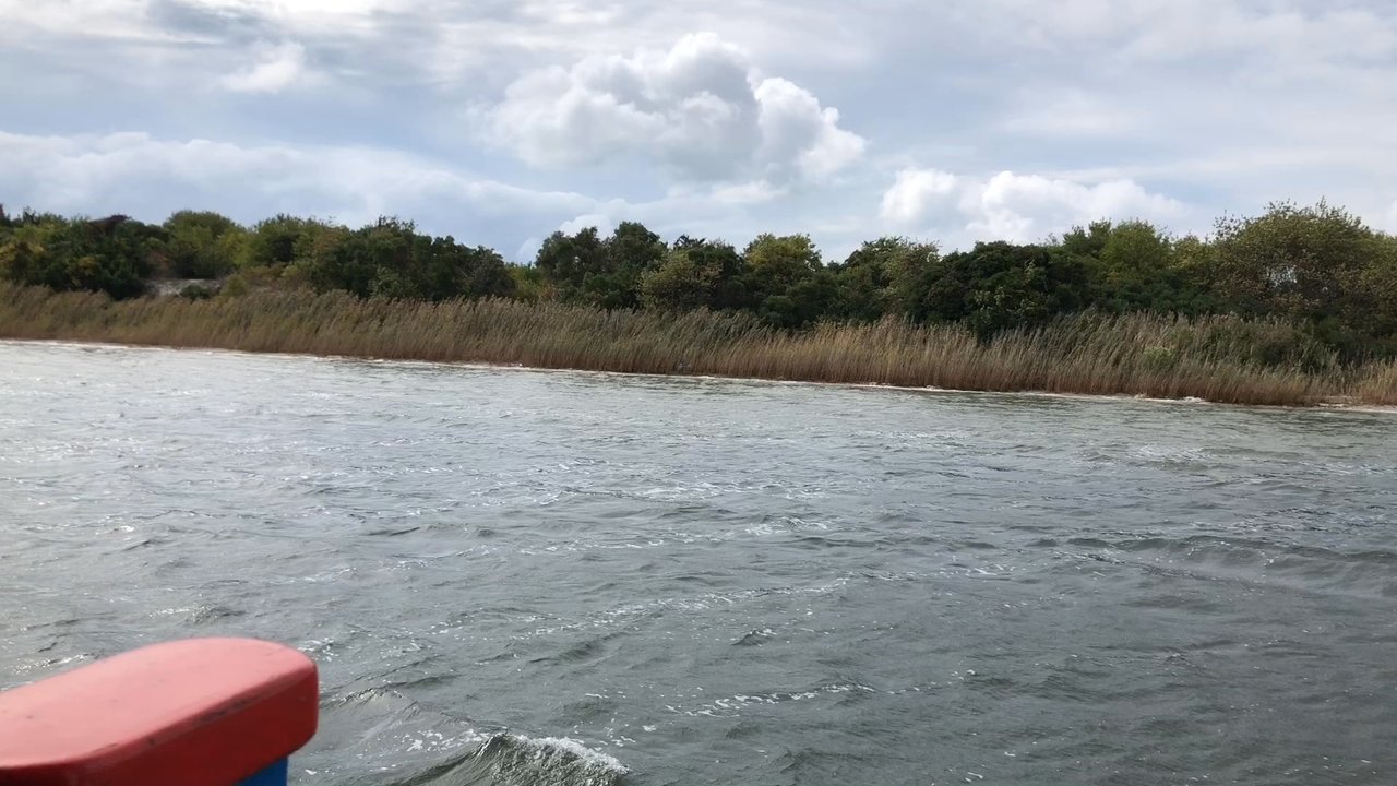 BAY SHORE MARINA - Updated December 2025 - 50 Photos - 142 S Clinton ...