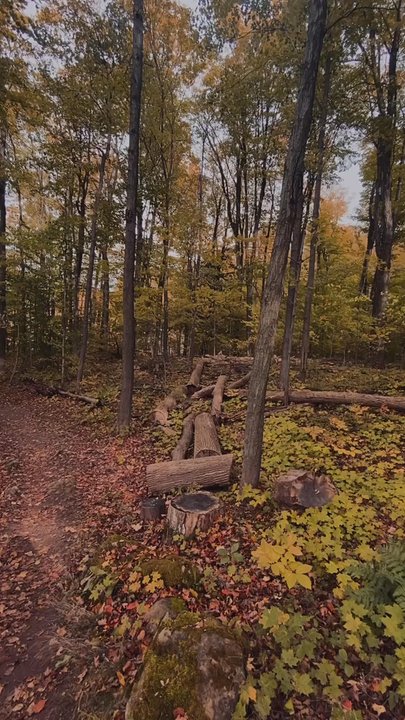 KELSO CONSERVATION AREA - Updated December 2025 - 56 Photos & 17 ...