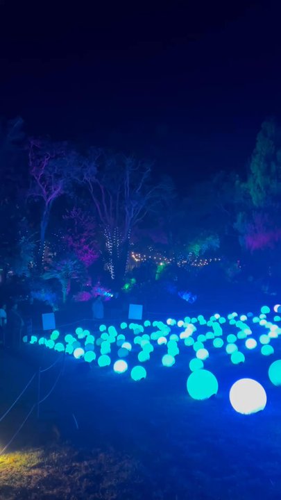 LIGHTSCAPE SAN DIEGO - Updated October 2025 - 250 Photos & 59 Reviews ...