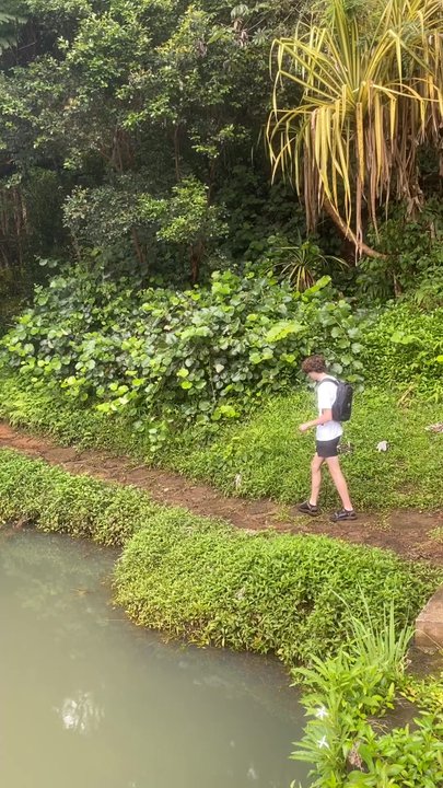 WAI KOA LOOP TRAIL - Updated October 2025 - 180 Photos & 42 Reviews - 5 ...