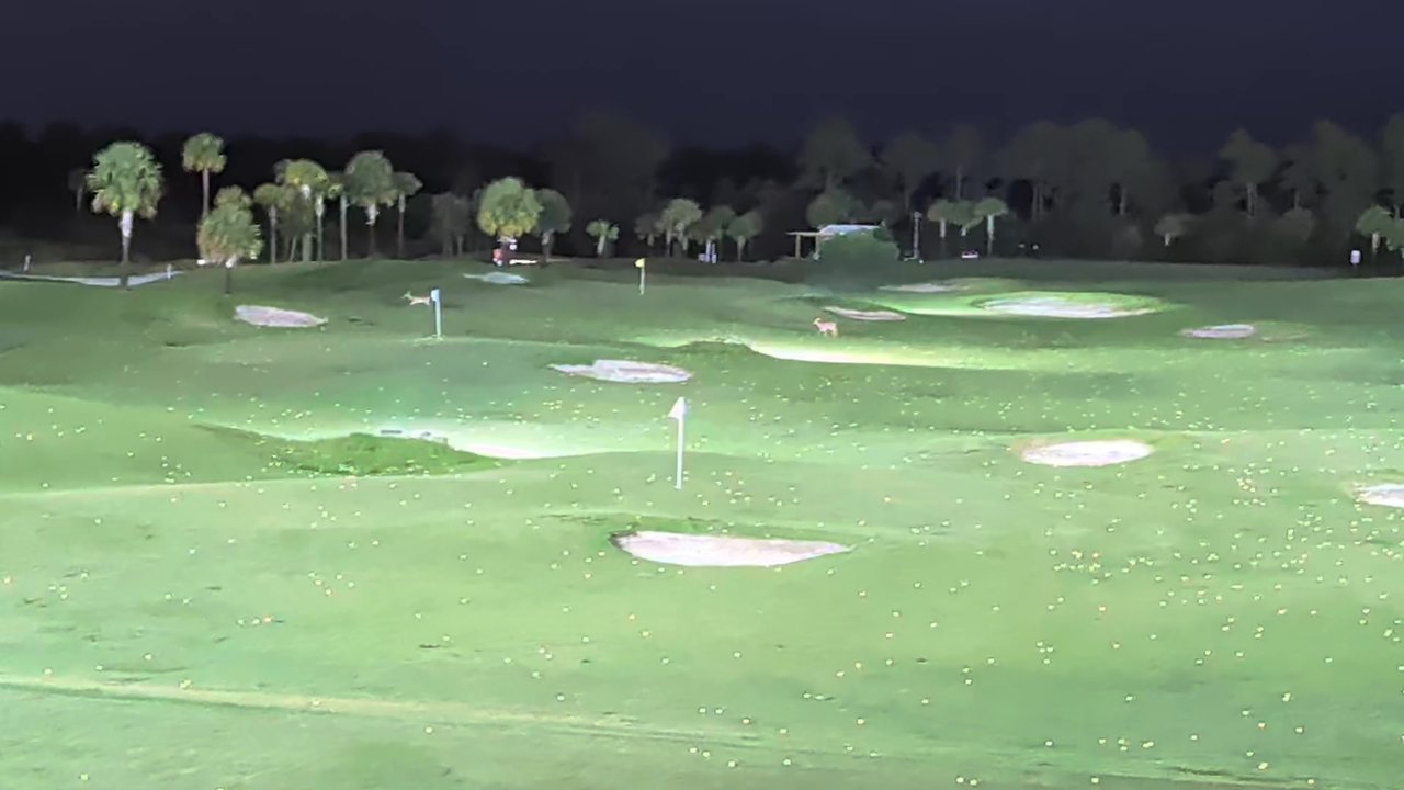 SANDHILL CRANE GOLF COURSE - Updated June 2026 - 35 Photos & 56 Reviews ...