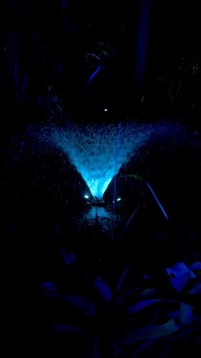 LIGHTSCAPE SAN DIEGO - Updated October 2025 - 250 Photos & 59 Reviews ...