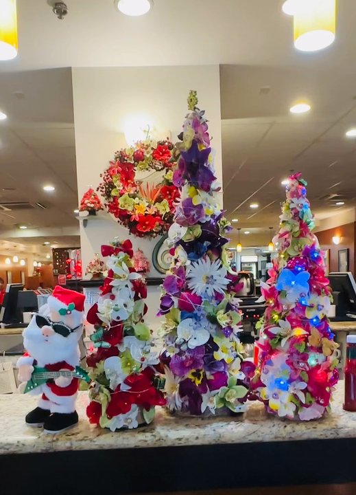 TANAKA SAIMIN - Updated May 2025 - 3538 Photos & 1203 Reviews - 888 N ...