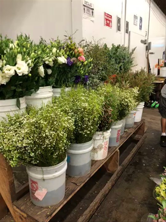 ORIGINAL LOS ANGELES FLOWER MARKET - Updated September 2025 - 1373 ...