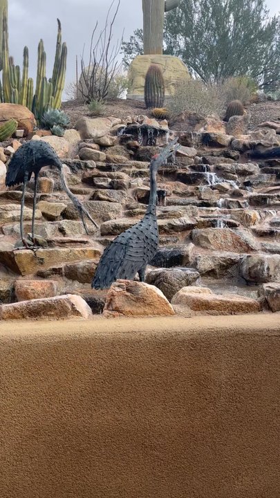 DESERT FOOTHILLS LIBRARY - Updated May 2025 - 373 Photos & 21 Reviews ...