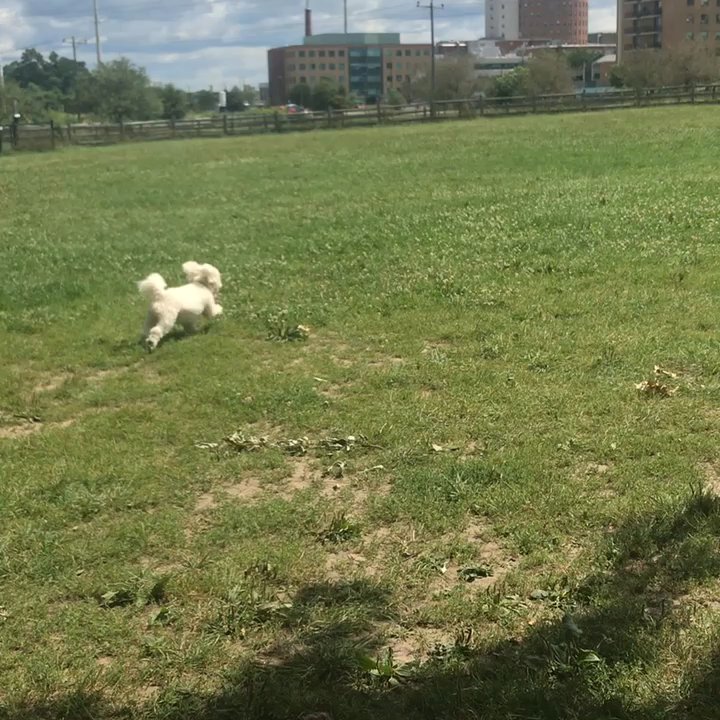 THOMSON MEMORIAL PARK - Updated October 2025 - 25 Photos - 1050 Brimley ...