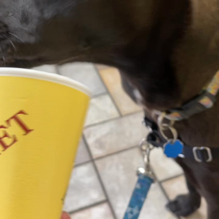 PS GOURMET COFFEE - Updated December 2025 - 63 Photos & 151 Reviews ...