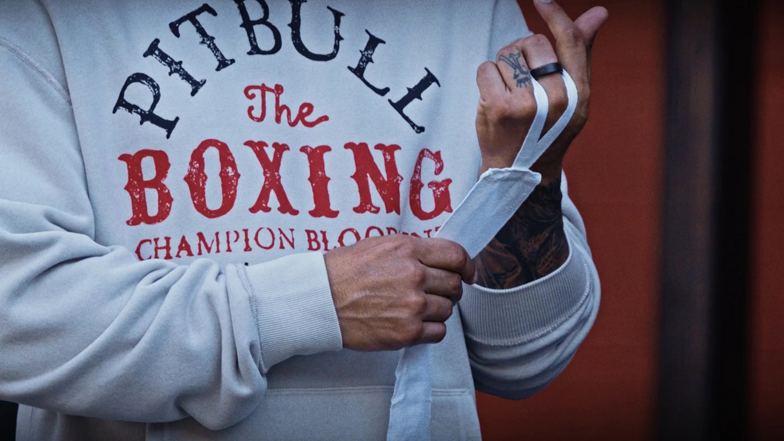 Startseite | Pitbull