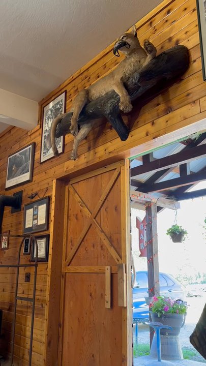 MILL IRON RANCH - Updated August 2025 - 85 Photos & 68 Reviews - 3495 E ...