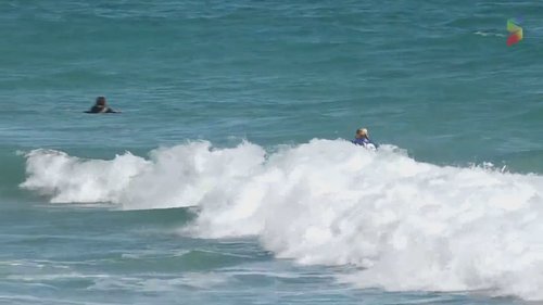 School Surfing Titles 2