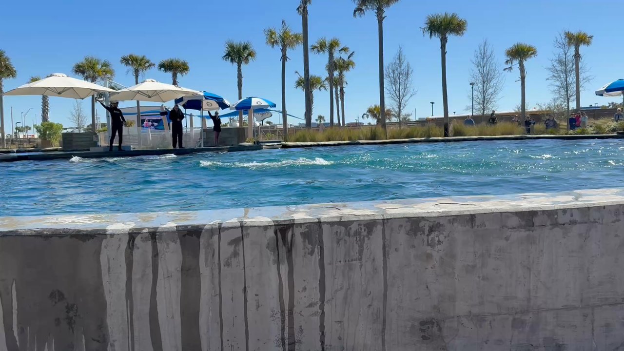 GULFARIUM MARINE ADVENTURE PARK - Updated May 2026 - 616 Photos & 290 ...