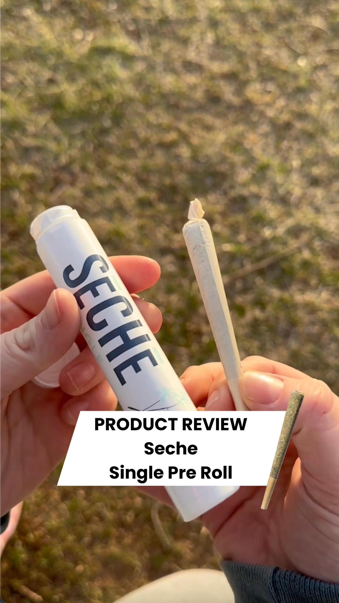 Seche Single Pre Roll Review by EJ H. | Real Reviews of Cannabis ...
