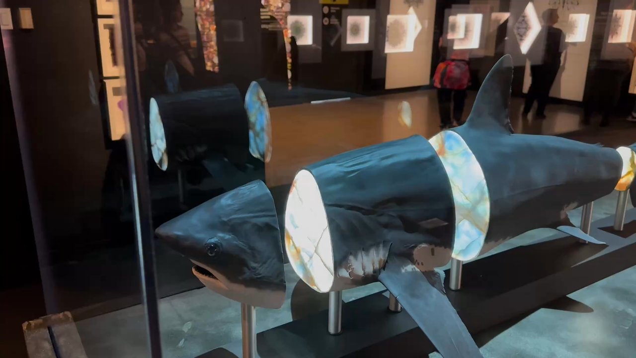 OREGON MUSEUM OF SCIENCE AND INDUSTRY - Updated October 2025 - 1709 ...