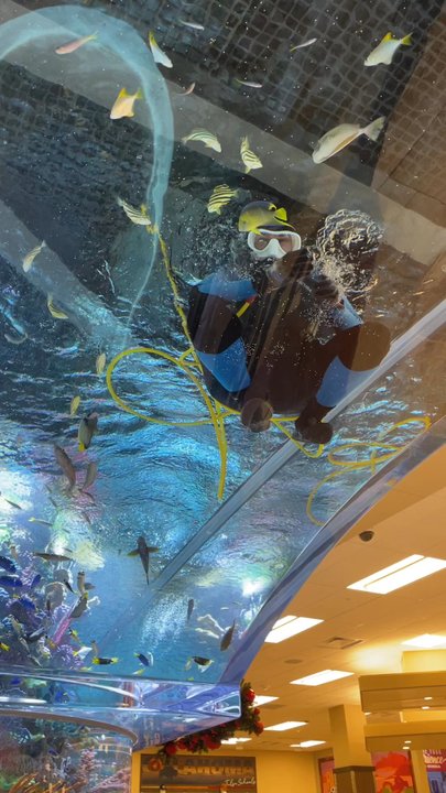 SCHEELS - Updated March 2025 - 119 Photos & 21 Reviews - 6929 S ...