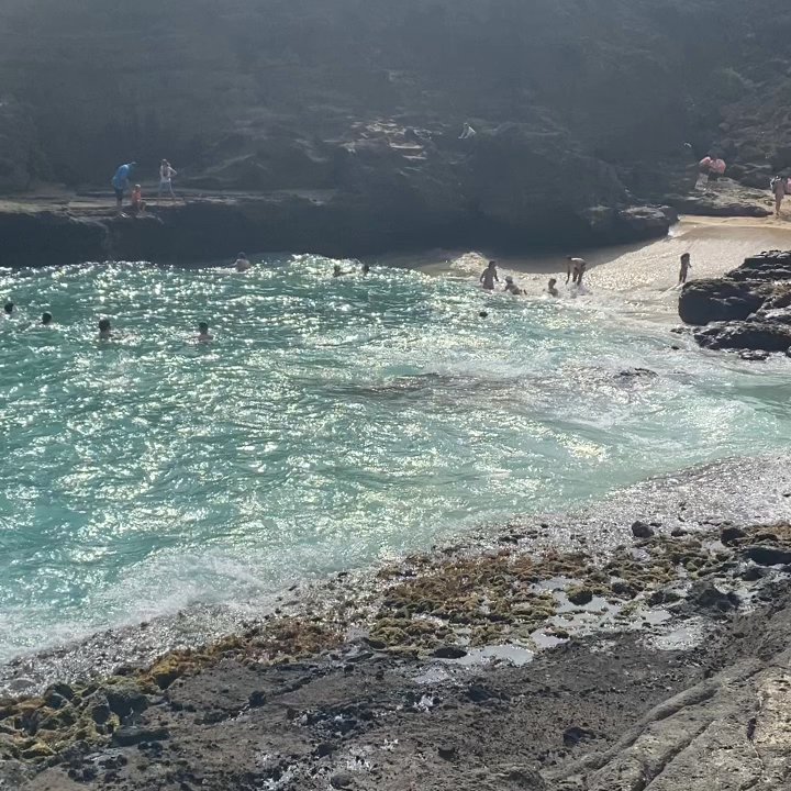 COCKROACH COVE - Updated October 2025 - 93 Photos & 26 Reviews - 8450 ...