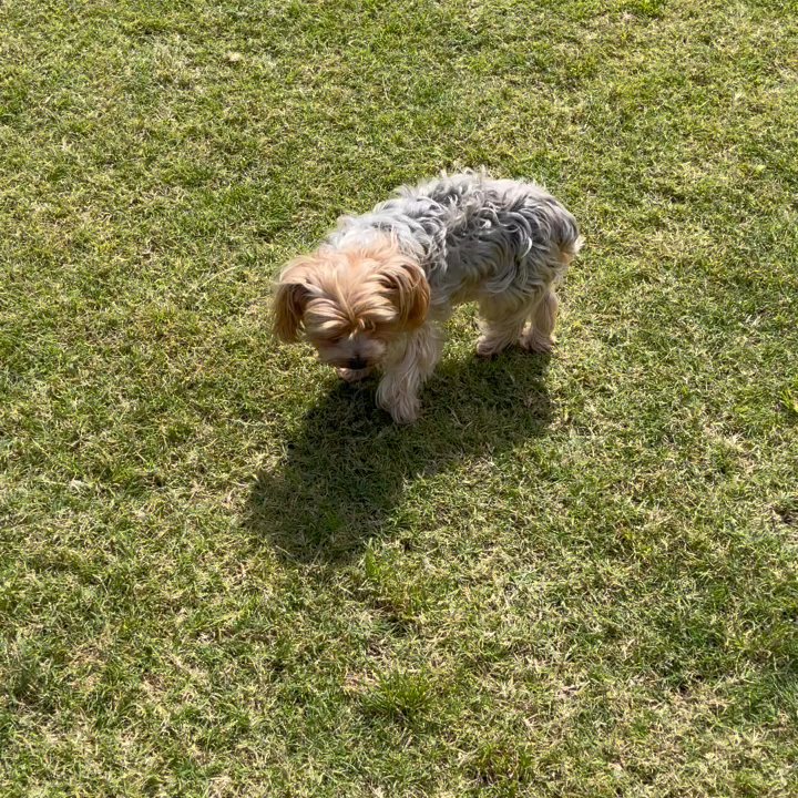 PATSY T. MINK CENTRAL OAHU REGIONAL PARK - Updated December 2025 - 708 ...