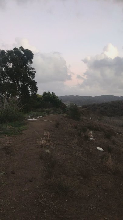 TURTLE ROCK VIEWPOINT TRAIL - Updated December 2025 - 255 Photos & 140 ...