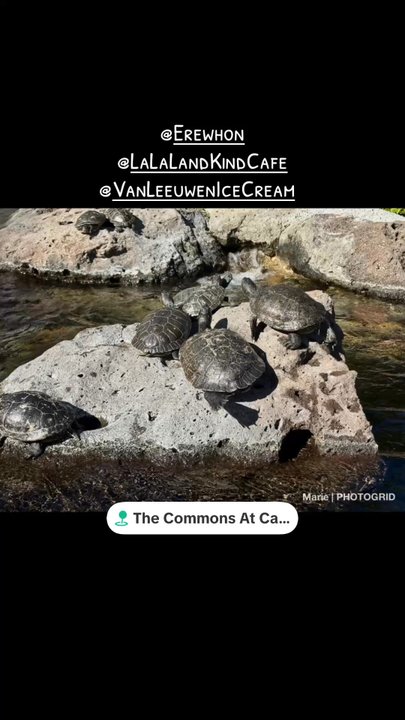 THE COMMONS AT CALABASAS - Updated January 2026 - 437 Photos & 135 ...