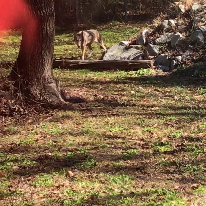 SEWEE VISITOR AND ENVIRONMENTAL EDUCATION CENTER - Updated July 2025 ...