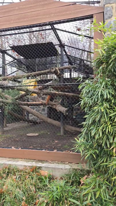 BRANDYWINE ZOO - Updated January 2026 - 180 Photos & 73 Reviews - 1001 ...