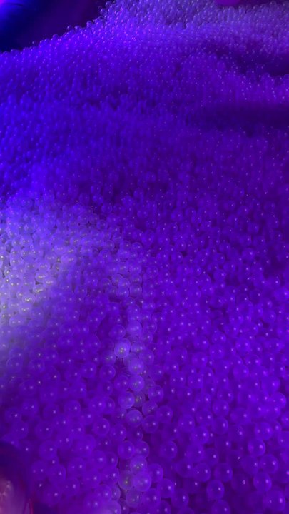 BUBBLE PLANET IMMERSIVE EXPERIENCE - Updated May 2026 - 71 Photos & 25 ...