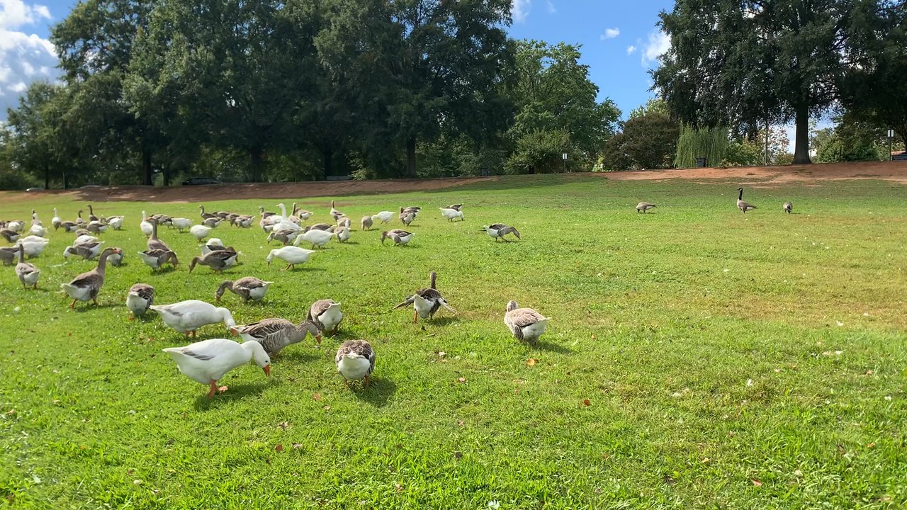 BYRD PARK - Updated December 2025 - 75 Photos & 38 Reviews - 600 S Blvd ...