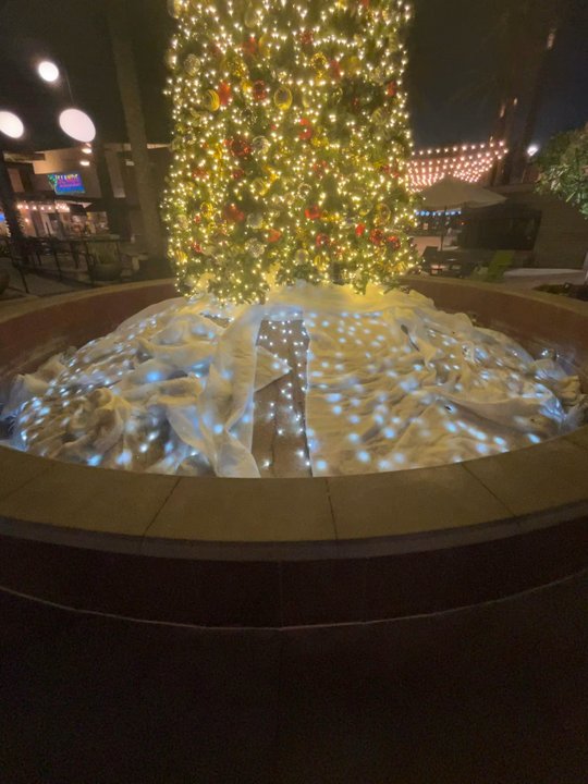 PERRO EXQUISITE TACO - Updated July 2025 - 232 Photos & 220 Reviews ...