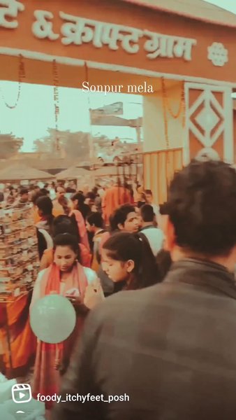 Sonepur Mela: A Complete Guide to India’s Largest Cattle Fair