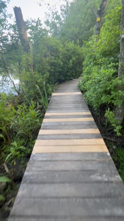 NORRIS RESERVATION - Updated July 2025 - 97 Photos - Dover St, Norwell ...