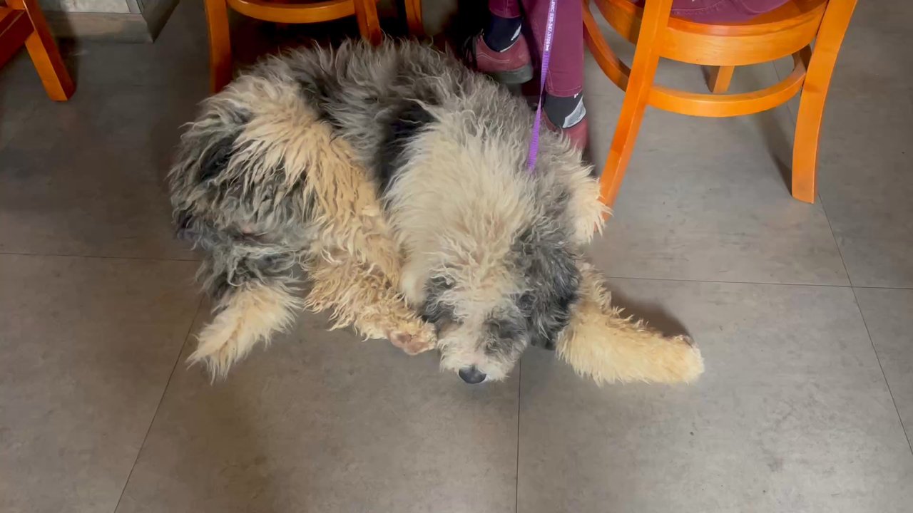 FALL RIVER TAPHOUSE - Updated December 2025 - 144 Photos & 193 Reviews ...