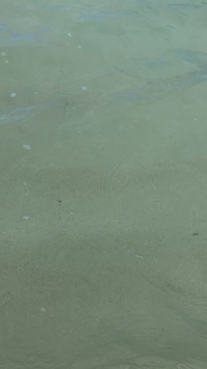 KA’A’AWA BEACH PARK - Updated December 2025 - 97 Photos & 25 Reviews ...