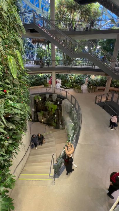 AMAZON SPHERES - Updated April 2025 - 1074 Photos & 134 Reviews - 2111 ...