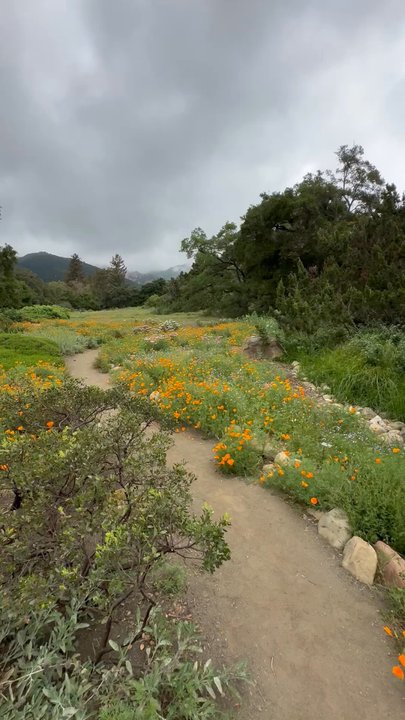 SANTA BARBARA BOTANIC GARDEN - Updated March 2025 - 1263 Photos & 334 ...