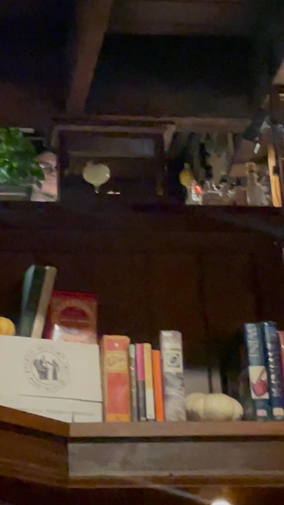 UNO TRE OTTO - Updated February 2025 - 737 Photos & 442 Reviews - 114 N ...