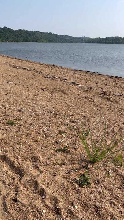 CREVE COEUR LAKE - Updated April 2026 - 772 Photos & 118 Reviews - 2143 ...