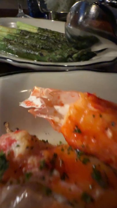 TRICK RIDER - Updated December 2025 - 218 Photos & 114 Reviews - 4341 ...