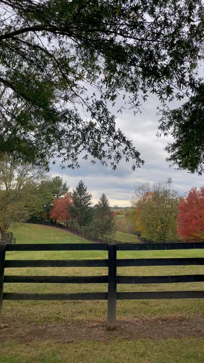 COOLMORE AMERICA - ASHFORD STUD - Updated June 2026 - 32 Photos - 5095 ...