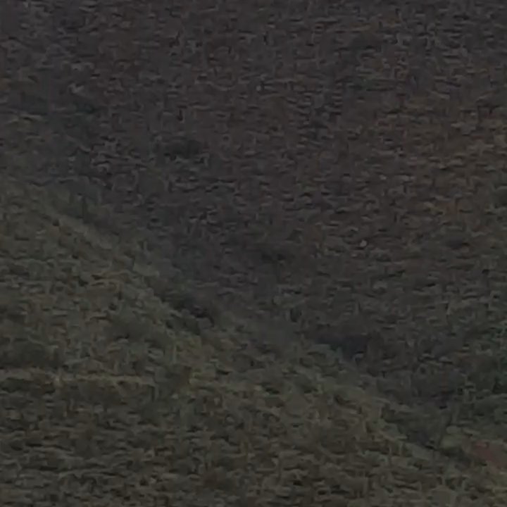 PALA SHOOTING RANGE - Updated August 2025 - 10 Photos & 31 Reviews ...