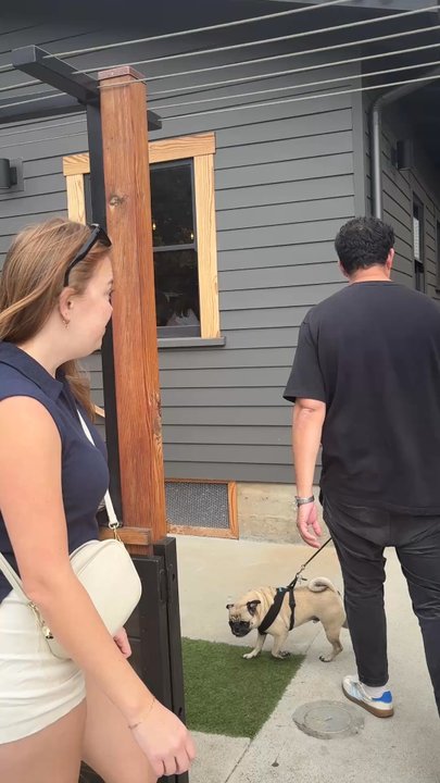 DOCENT BREWING - Updated December 2025 - 110 Photos & 71 Reviews - 3060 ...