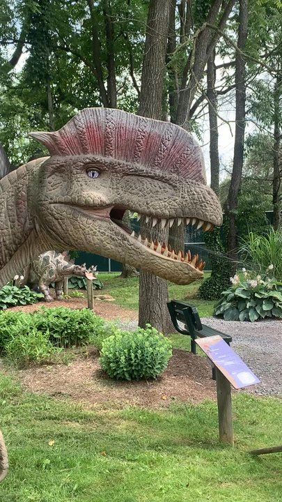 CLYDE PEELING’S REPTILAND - Updated July 2025 - 193 Photos & 51 Reviews ...