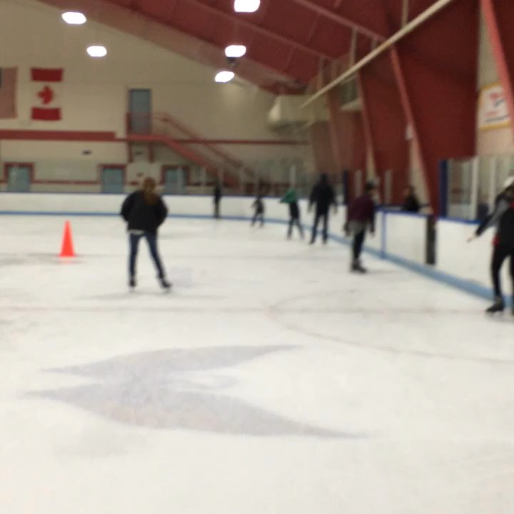 WHEATON ICE ARENA - Updated January 2026 - 13 Reviews - 11717 Orebaugh ...