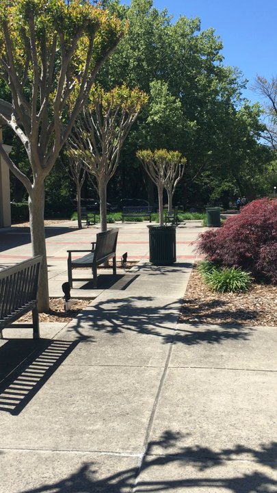 DANVILLE LIBRARY - Updated August 2025 - 57 Photos & 49 Reviews - 400 ...